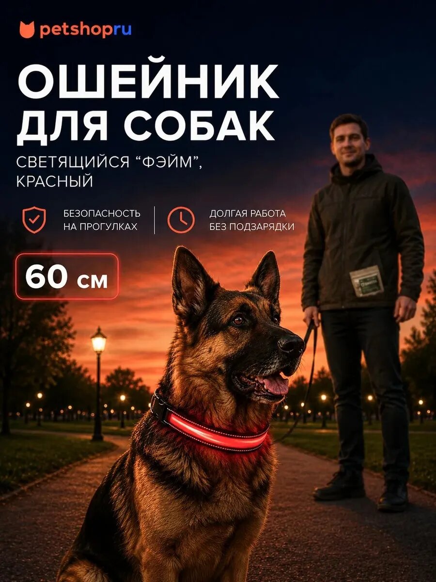 Tappi Светящийся ошейник "Фэйм", L