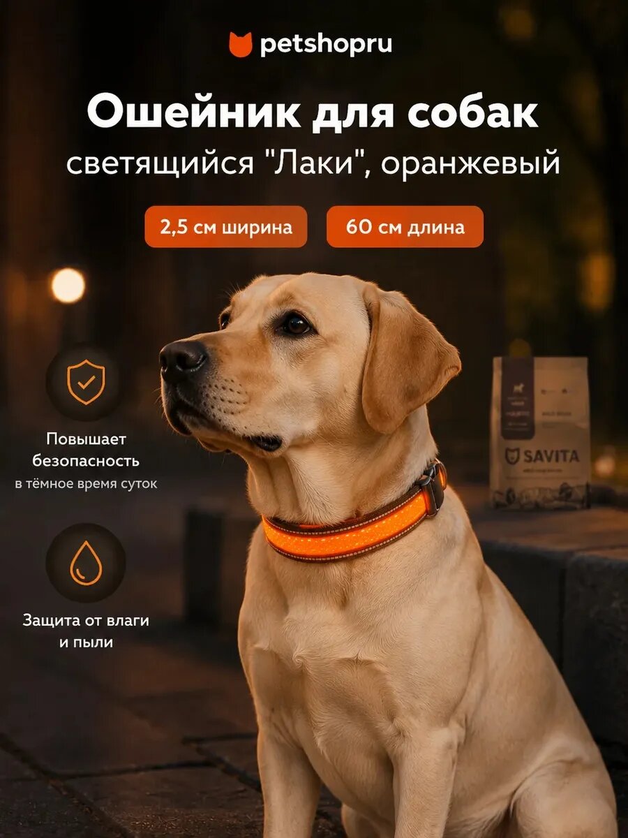 Светящийся ошейник "Лаки", оранжевый