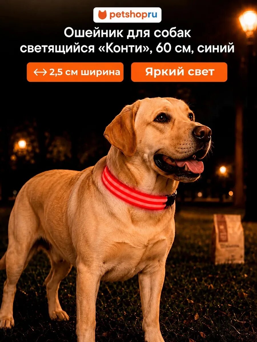 Tappi Светящийся ошейник "Кейн", L