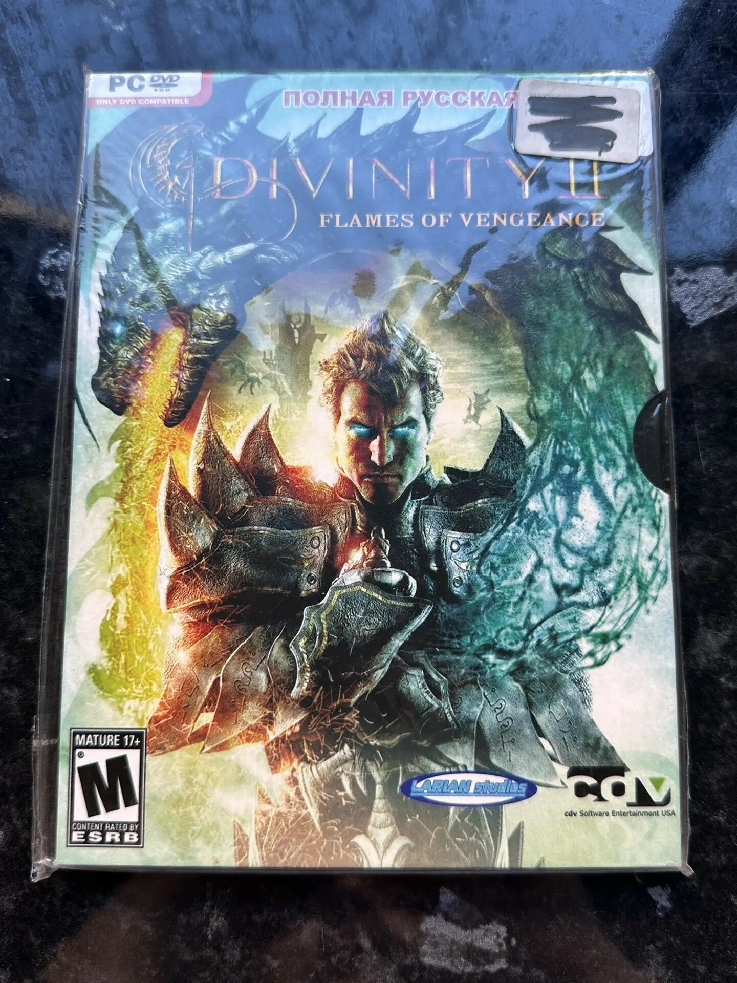Divinity 2 flames of vengeance игра
