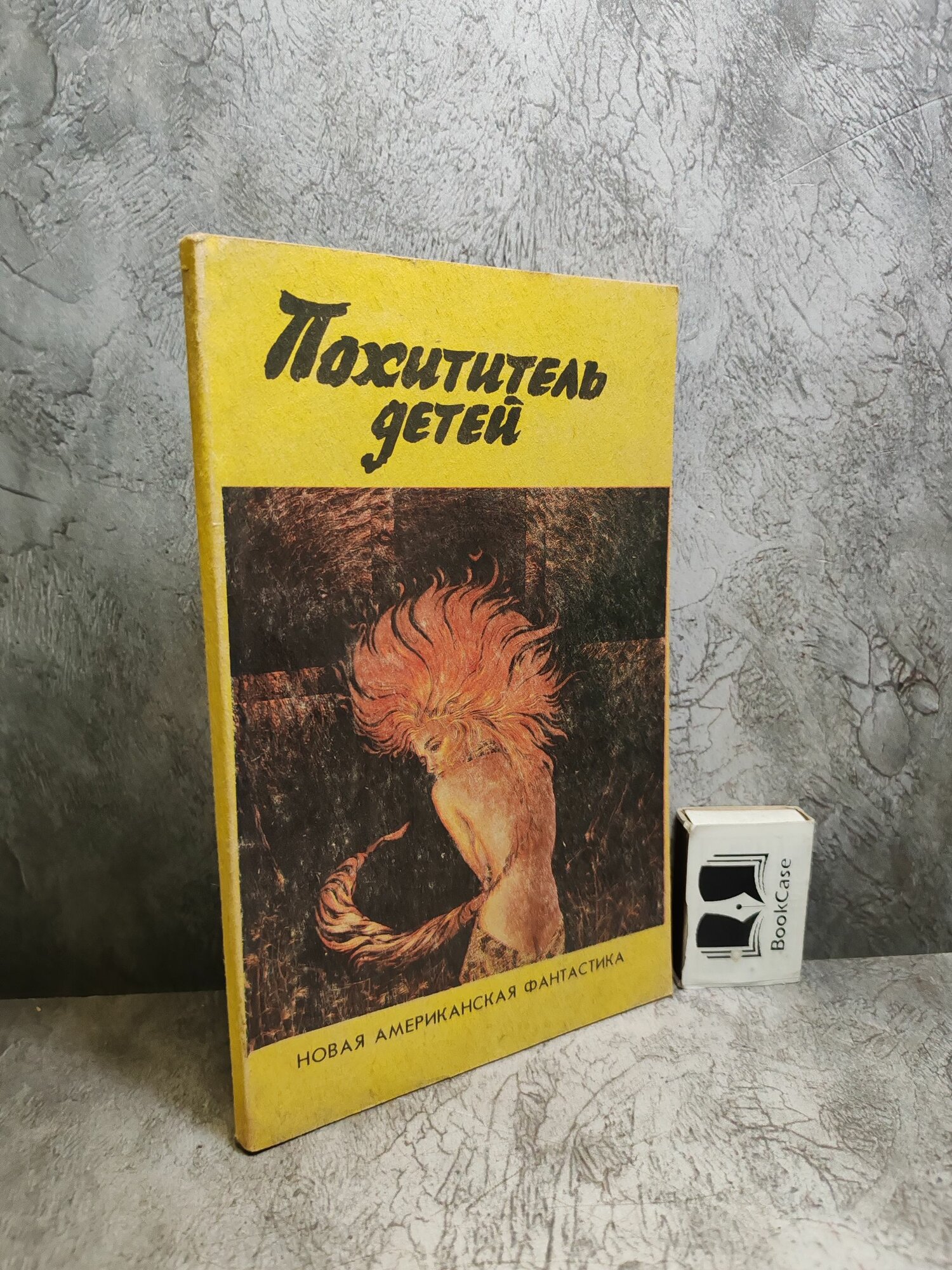 Похититель детей (1991 г.)