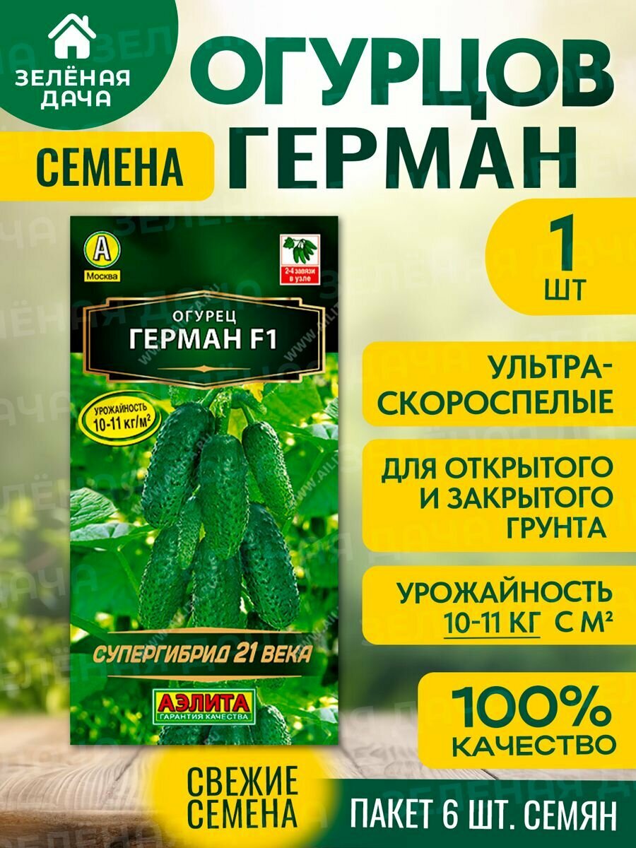 Семена огурцов самоопыляемые для теплиц раннеспелых Герман 1шт семена огурцов самоопыляемые раннеспелые для теплиц
