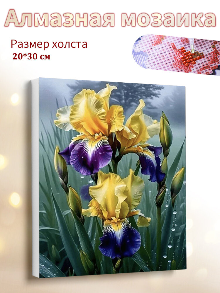 Алмазная мозаика на подрамнике 20x30cm "Саженцы ириса" / картина алмазная стразами