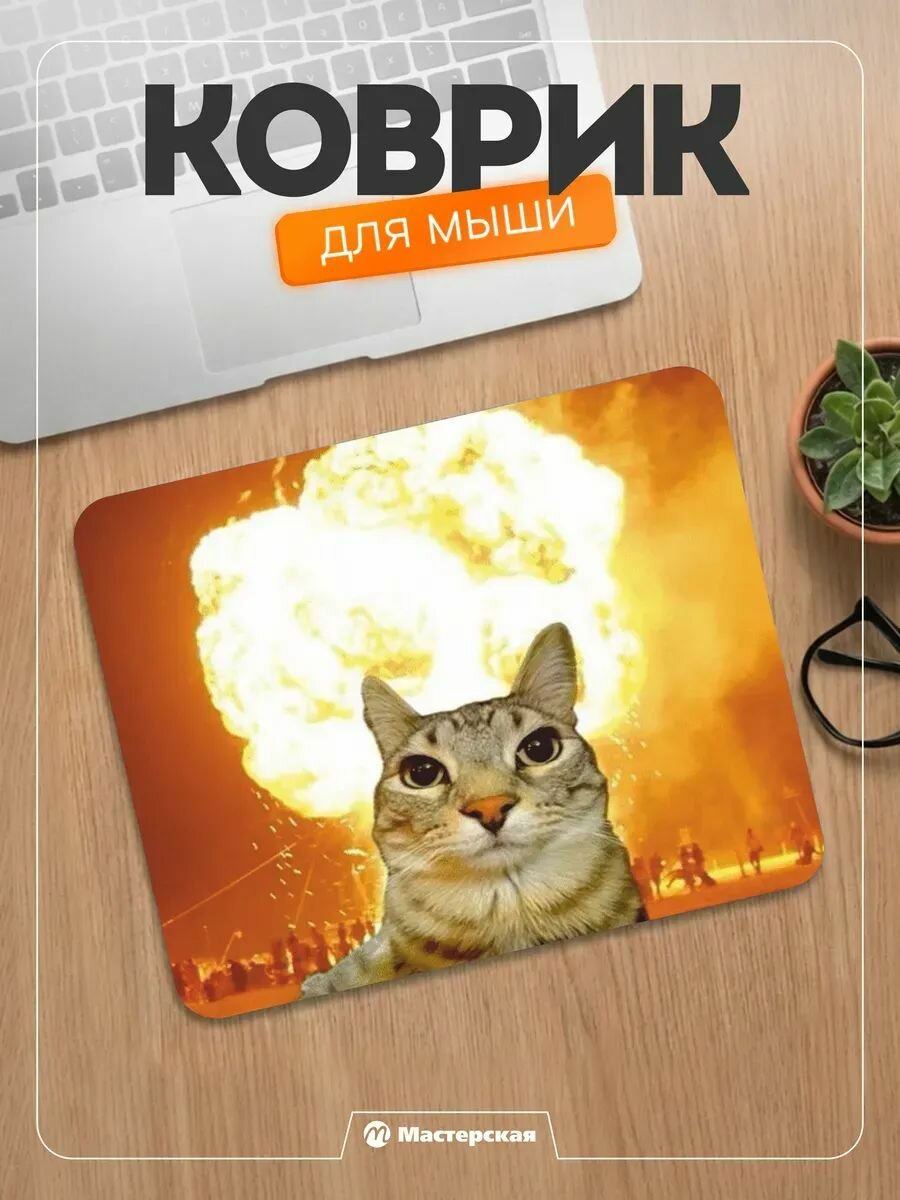 Коврик для мыши с мемным котиком