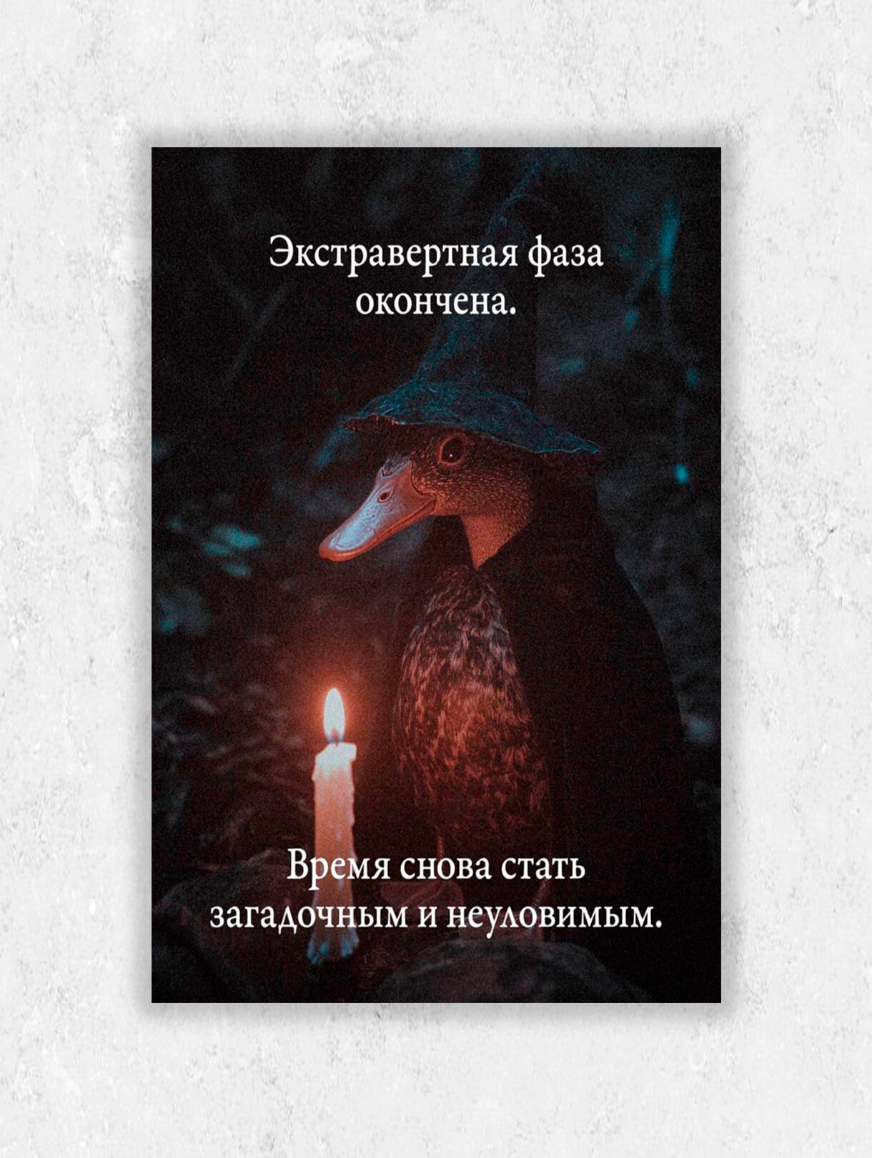 Плакат-мем "Утка экстраверт"