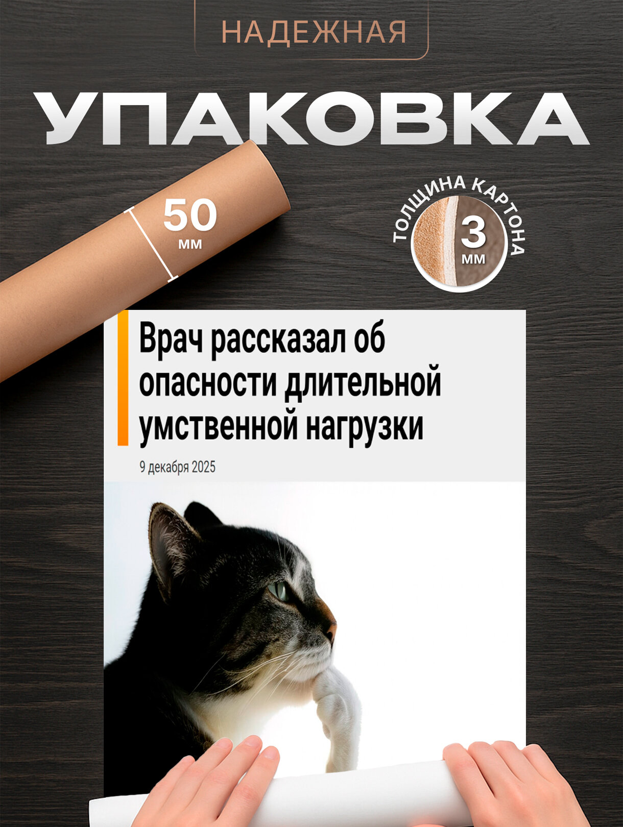 Плакат-мем "Кот думает" — фото 1