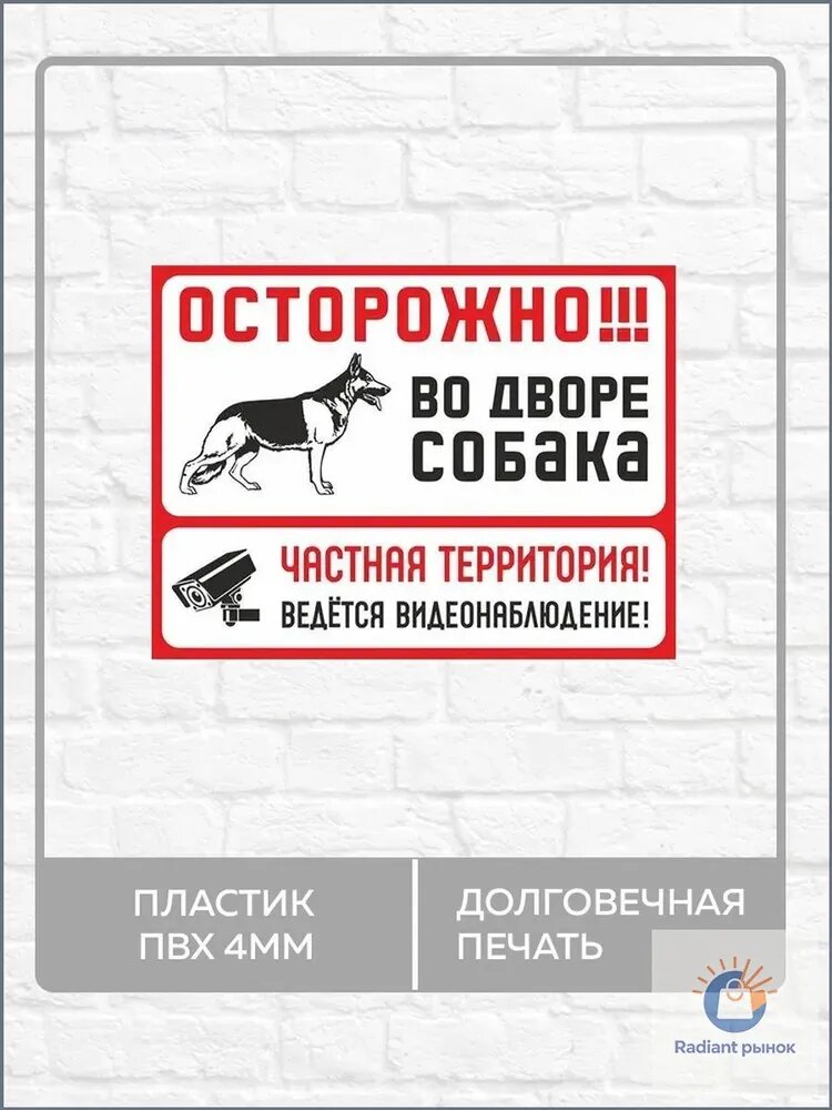 Табличка "Осторожно во дворе собака, ведется видеонаблюдение" А4 (30х20см)