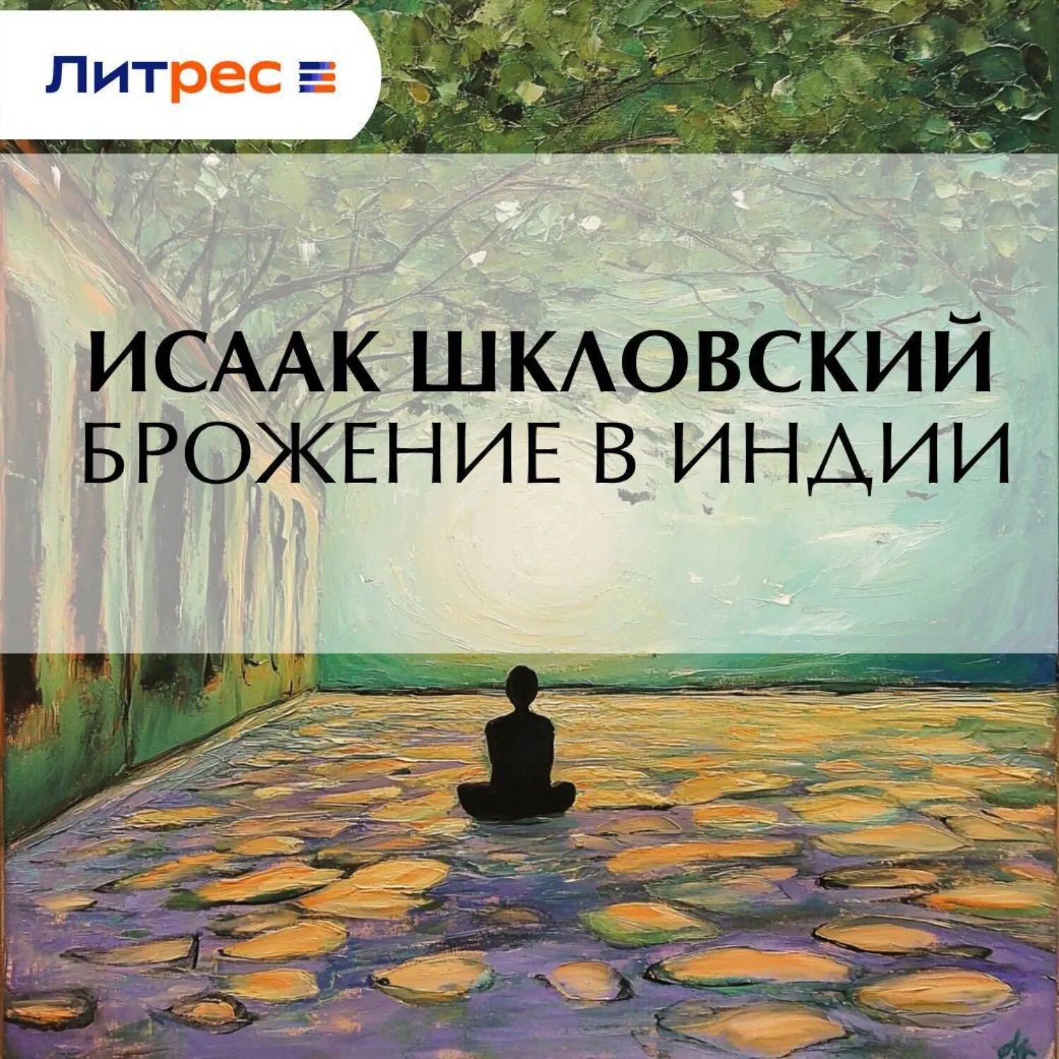 Брожение в Индии [Аудиокнига]