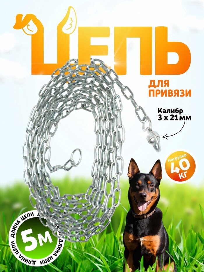 Цепь для привязи собак, 5 м, калибр 3×21 мм, белая