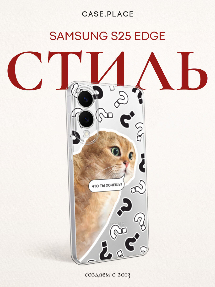 Чехол на Samsung Galaxy S25 Edge / Самсунг Галакси С25 Эдж с принтом С котом парный, прозрачный