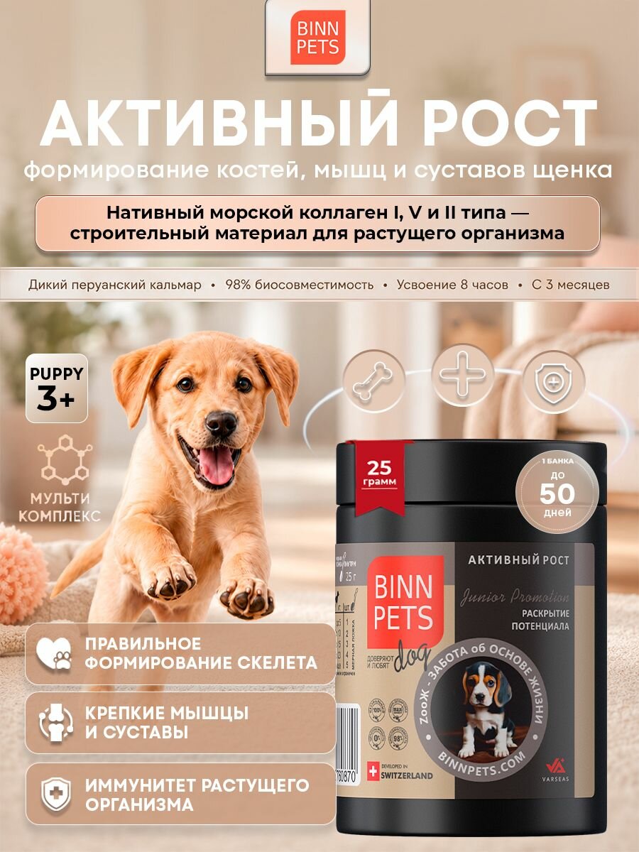 Натуральный морской коллаген для молодых собак BINN PETS Junior Promotion адаптивная формула защиты суставов, связок, хрящей во время активного роста в банке 25 грамм