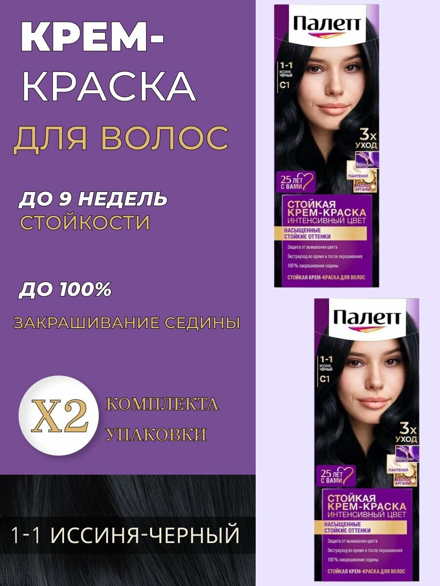 Краска для волос PALETTE Иссиня черный (2уп по 110мл)