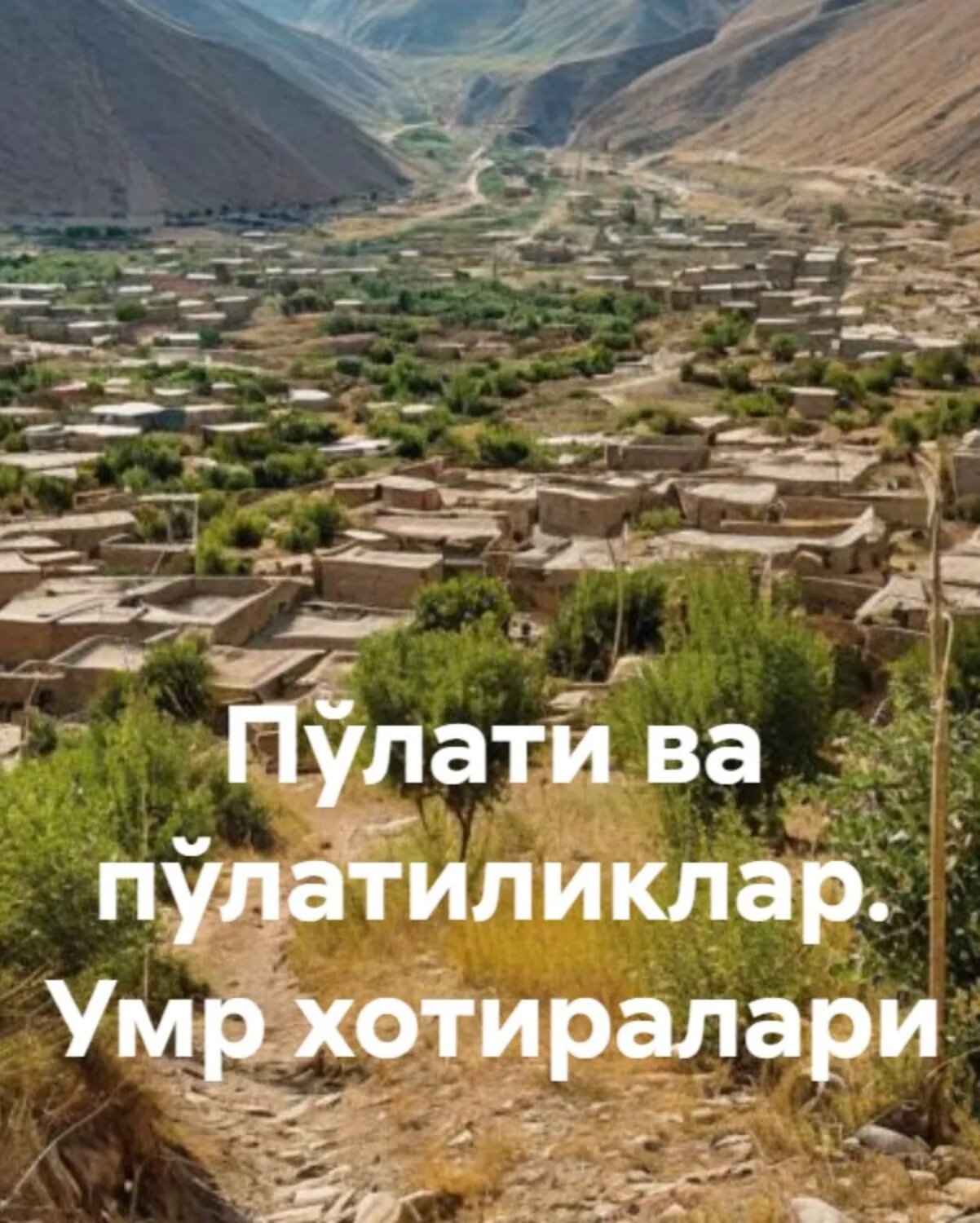 Плати ва платиликлар. Умр хотиралари [Цифровая книга]