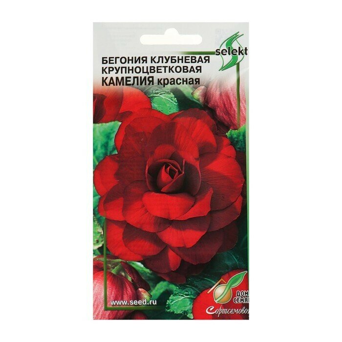 Семена цветов Бегония крупноцвет 'Камелия', красная, 10 шт