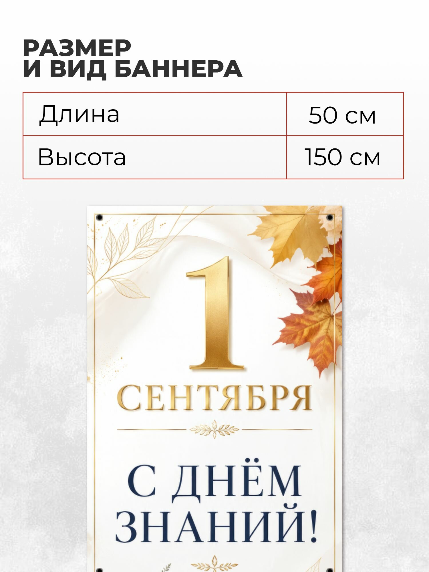Баннер 1 сентября — фото 1