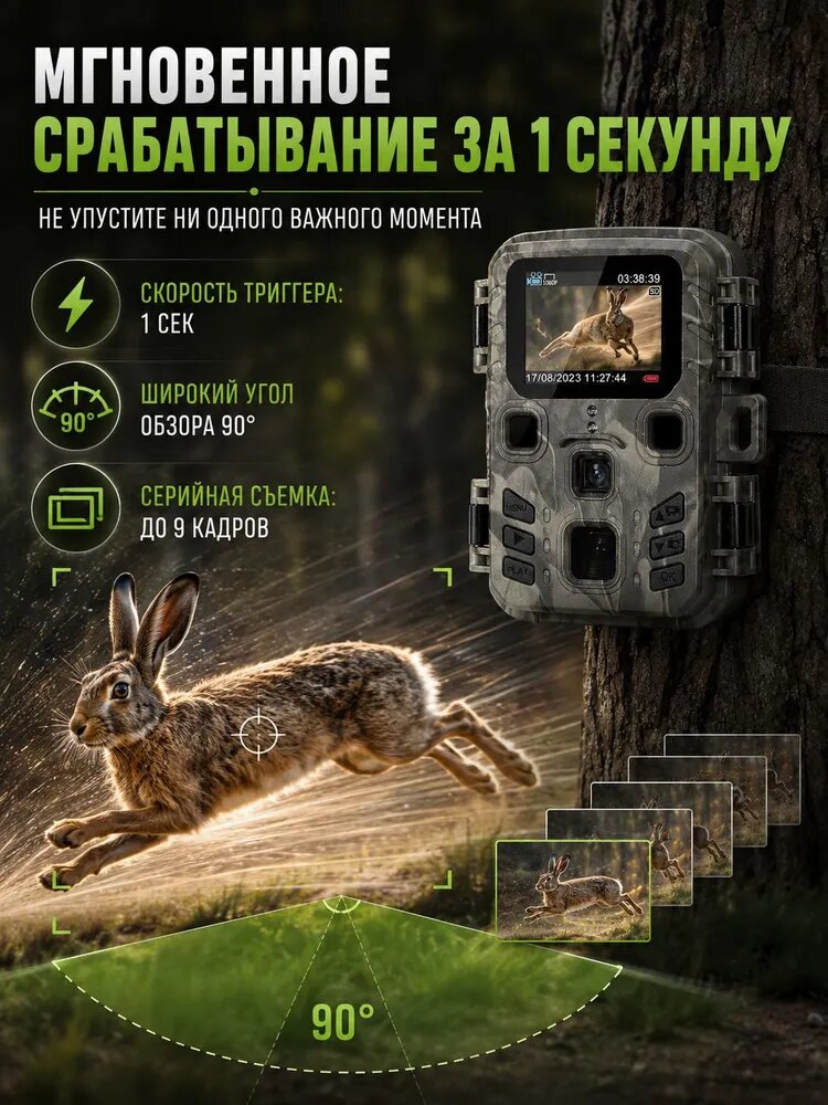 Фотоловушка — фото 1