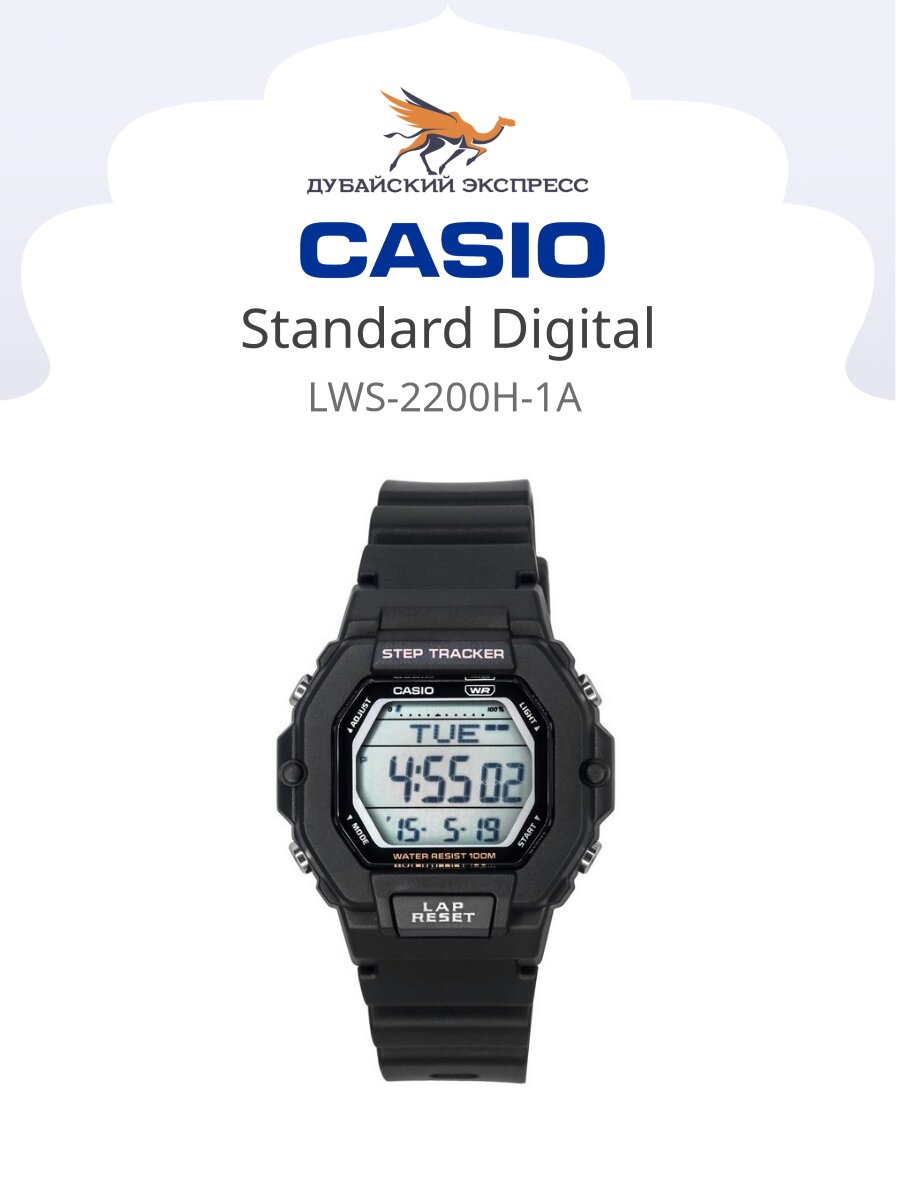  CASIO