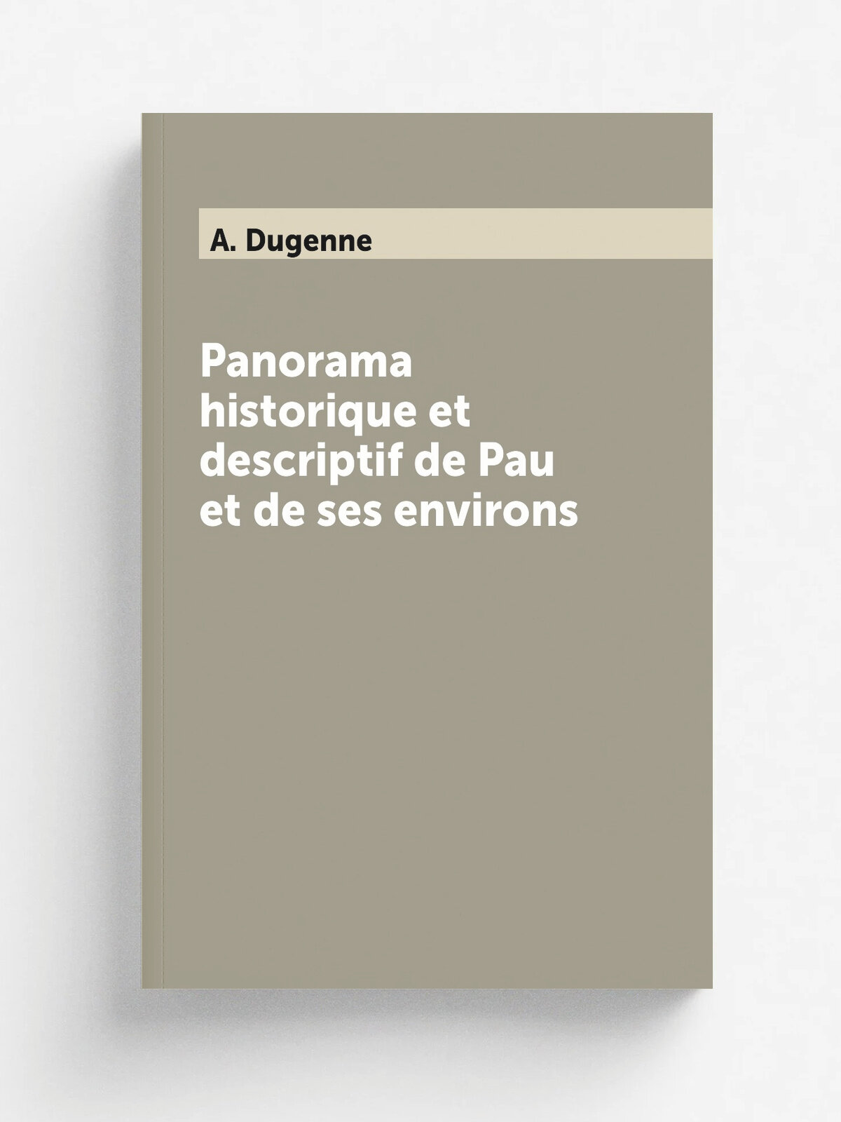 Panorama historique et descriptif de Pau et de ses environs
