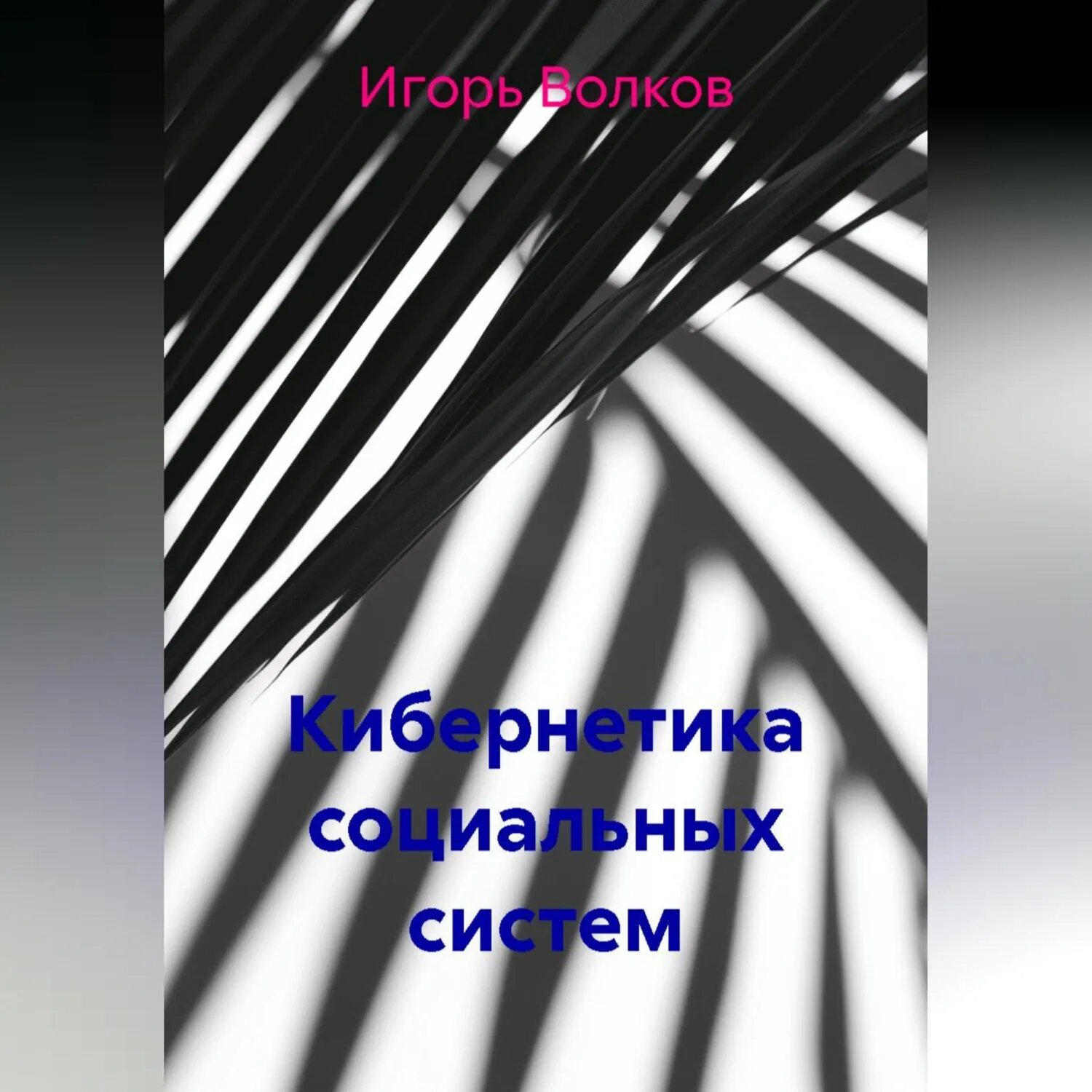 Кибернетика социальных систем [Аудиокнига]