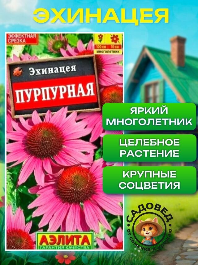 Семена Агрофирма Аэлита Эхинацея пурпурная, рудбекия, многолетние, 0,2 г
