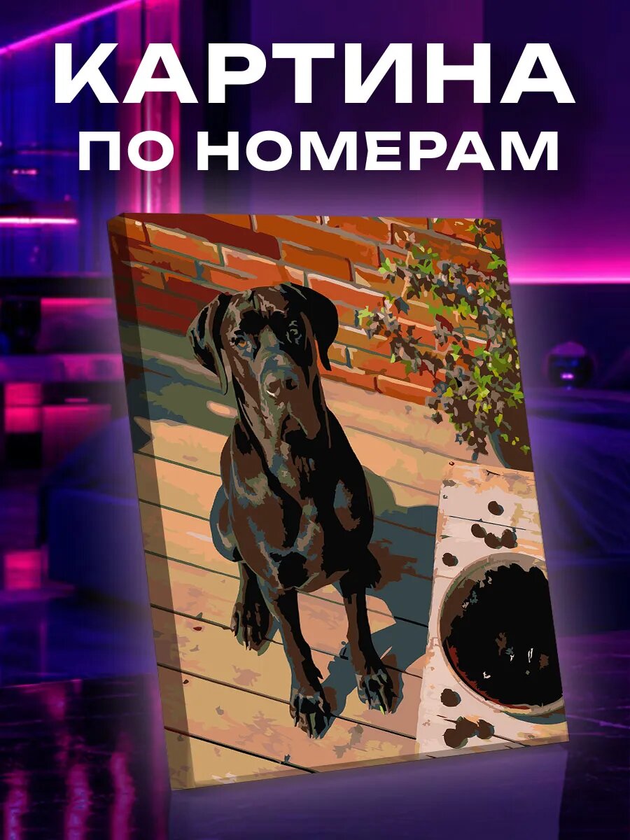 Картина по номерам Чёрный дог и ежевика