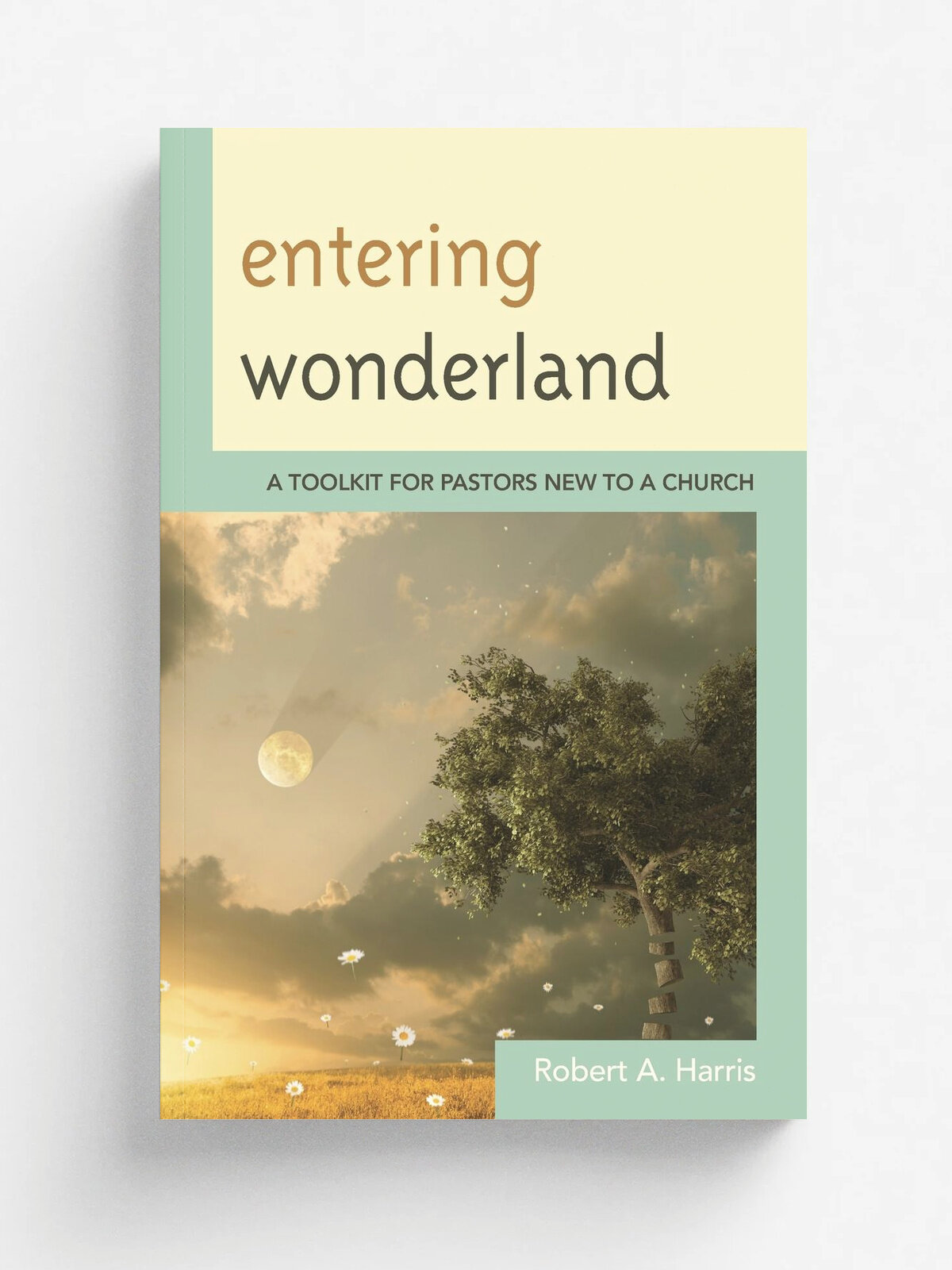 Entering Wonderland. A Toolkit for Pastors New to a Church