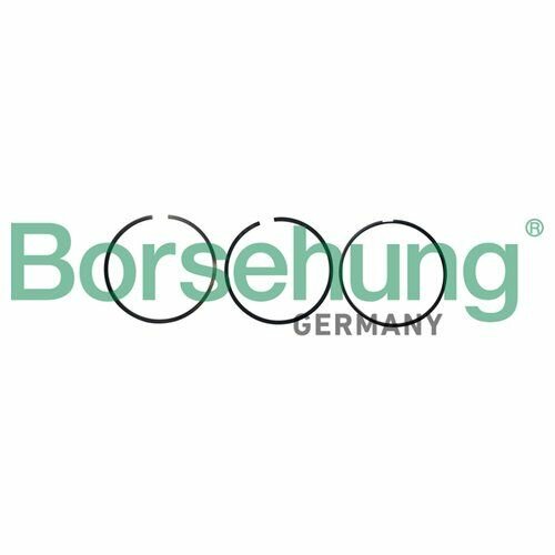 Кольца поршневые двигателя /комплект/ Borsehung B10363