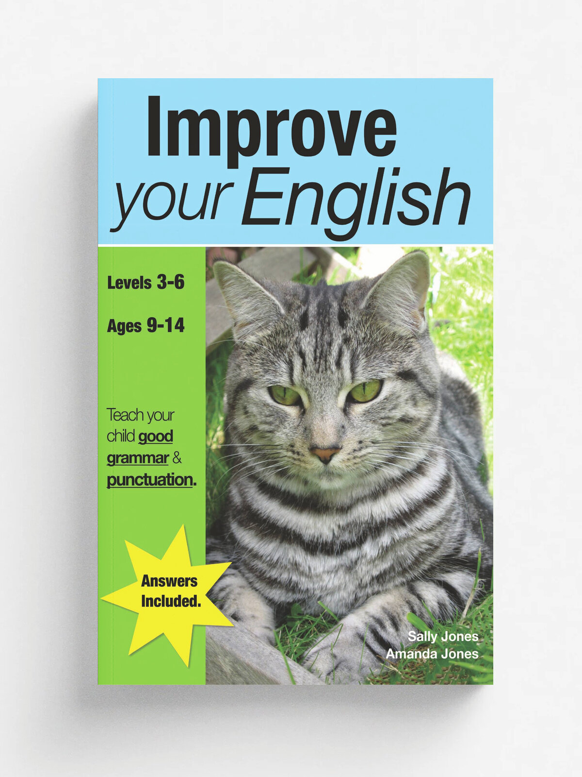Improve Your English (ages 9-14 years). Teach Your Child Good Punctuation And Grammar