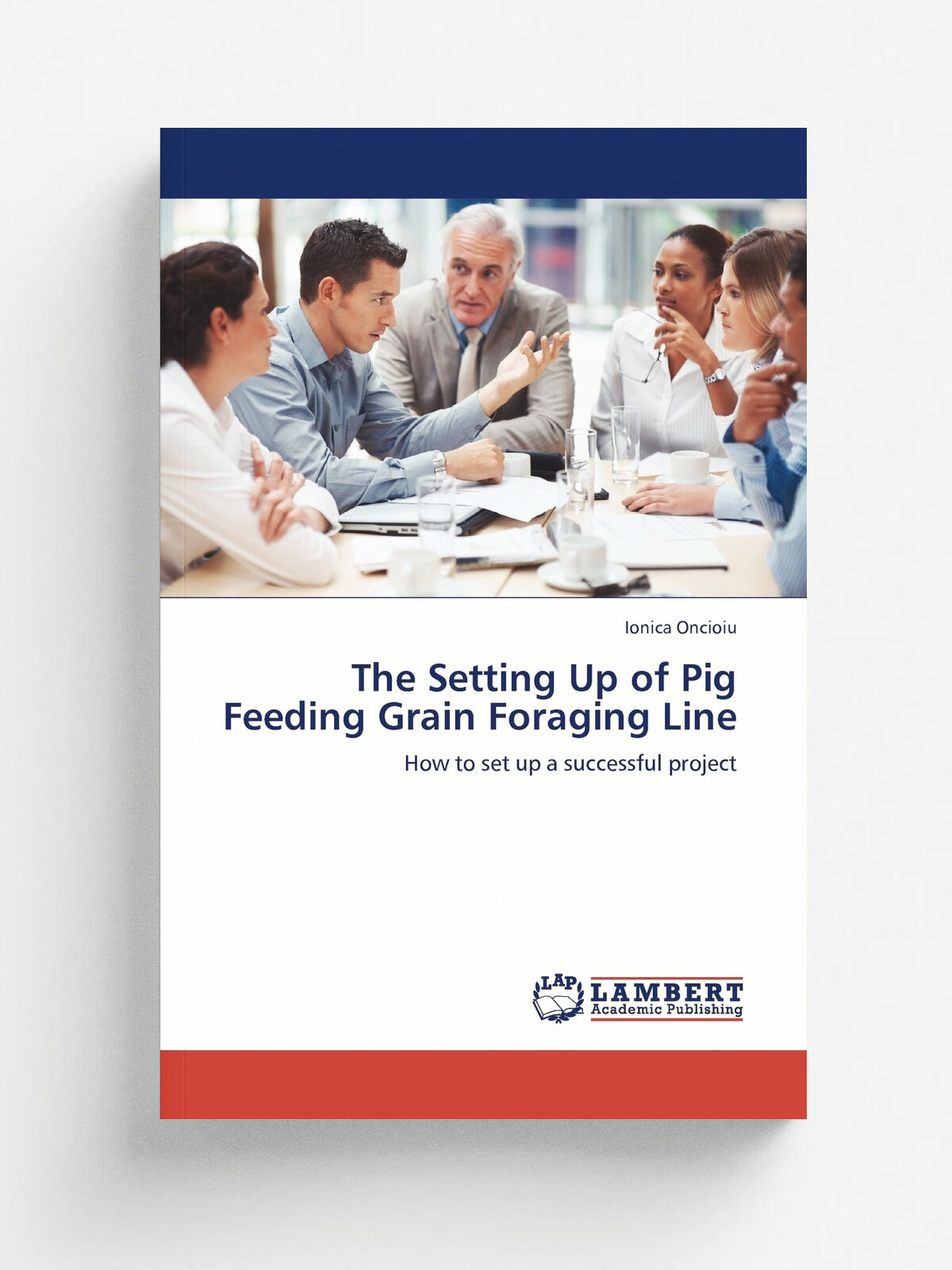 The Setting Up of Pig Feeding Grain Foraging Line