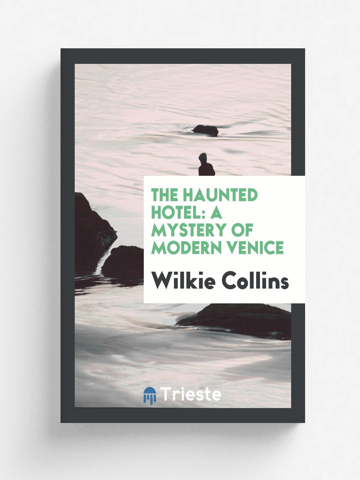 The Haunted Hotel. A Mystery of Modern Venice