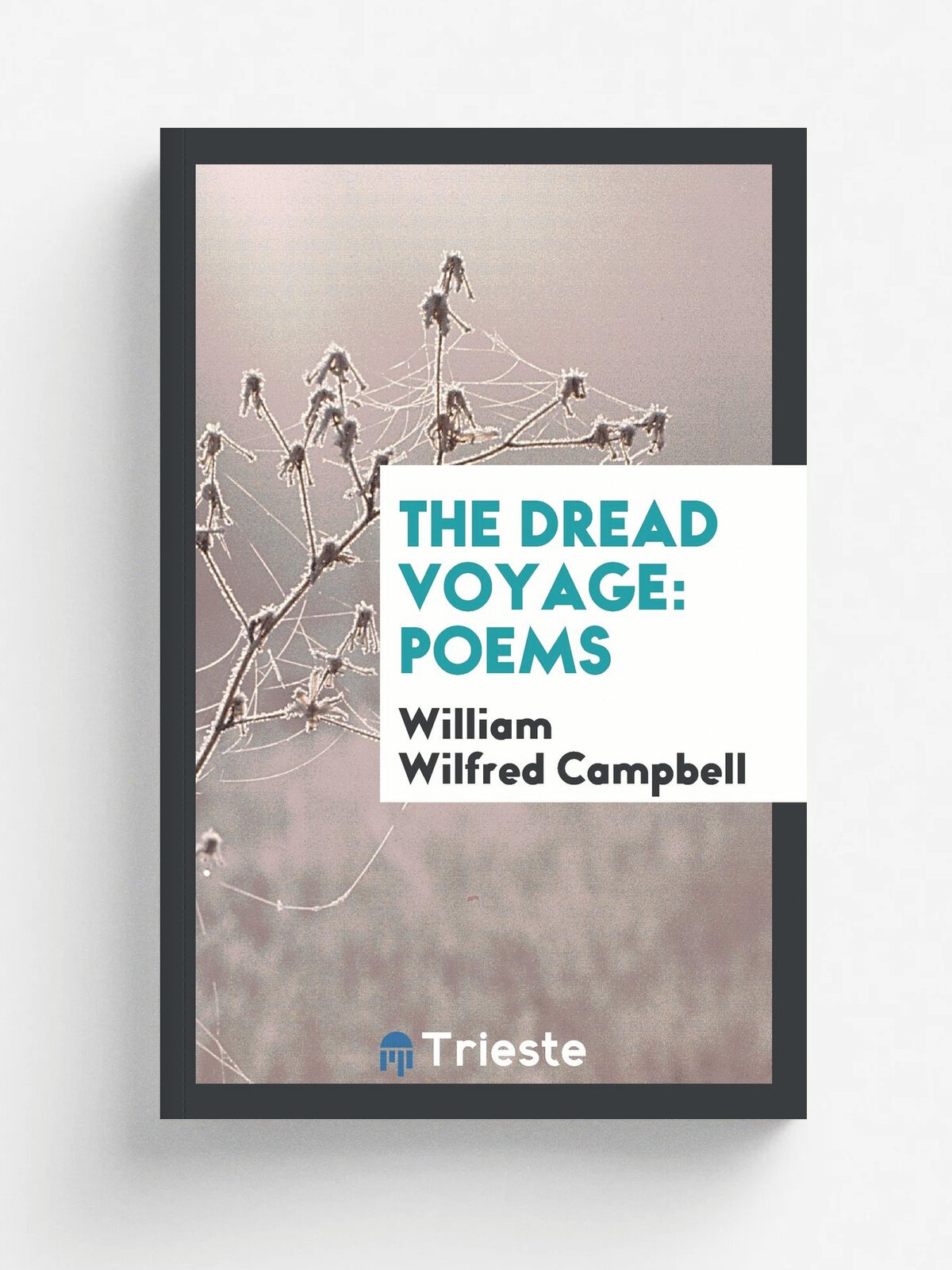 The dread voyage. poems