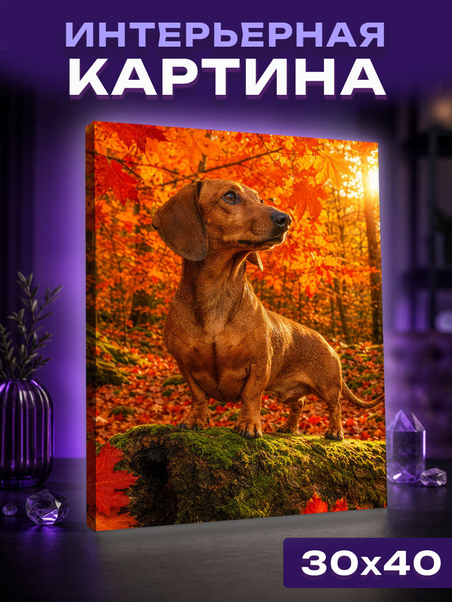 Интерьерная картина Такса на охоте в лесу на мшистом логе