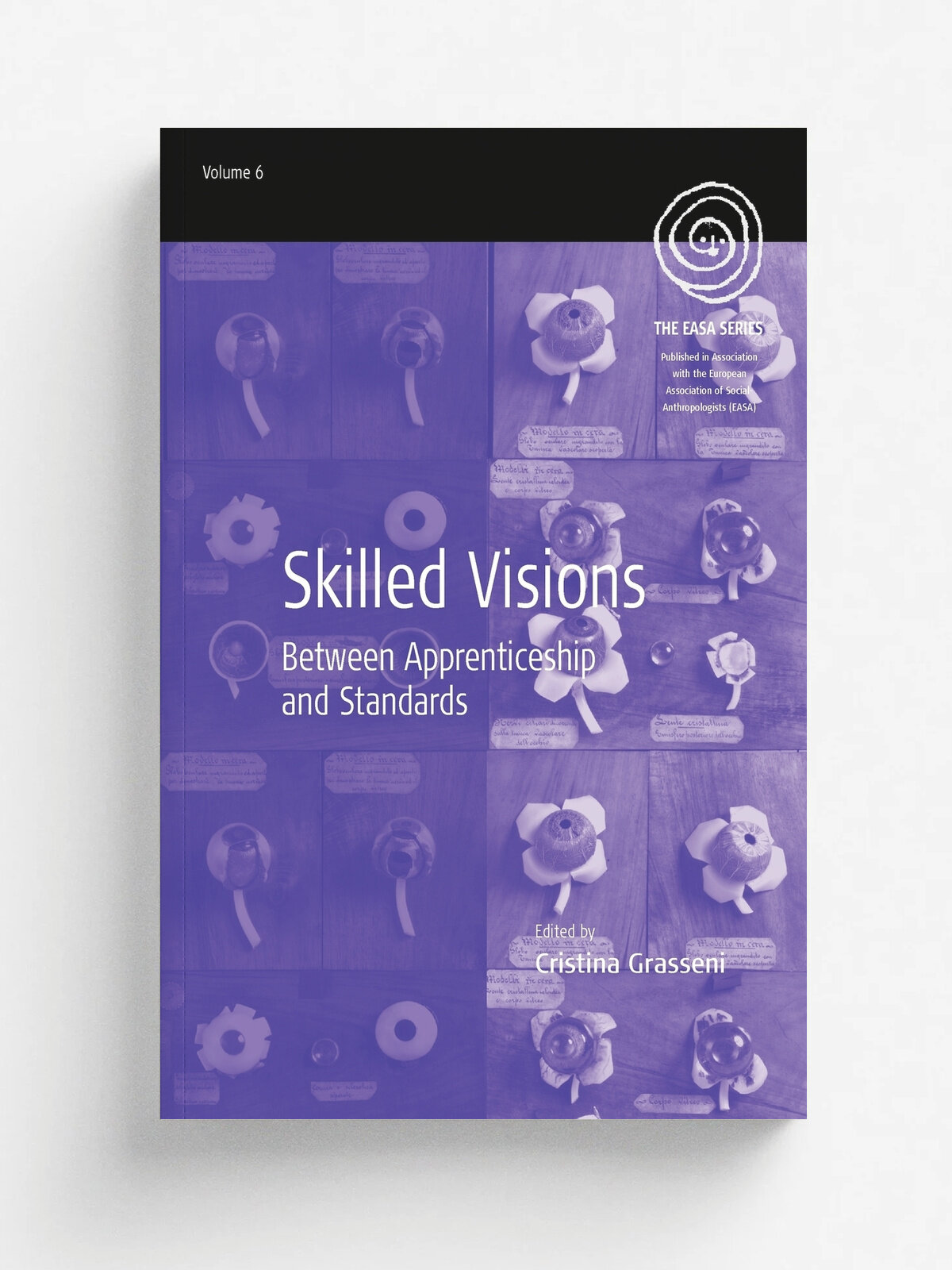 Skilled Visions. Between Apprenticeship and Standards