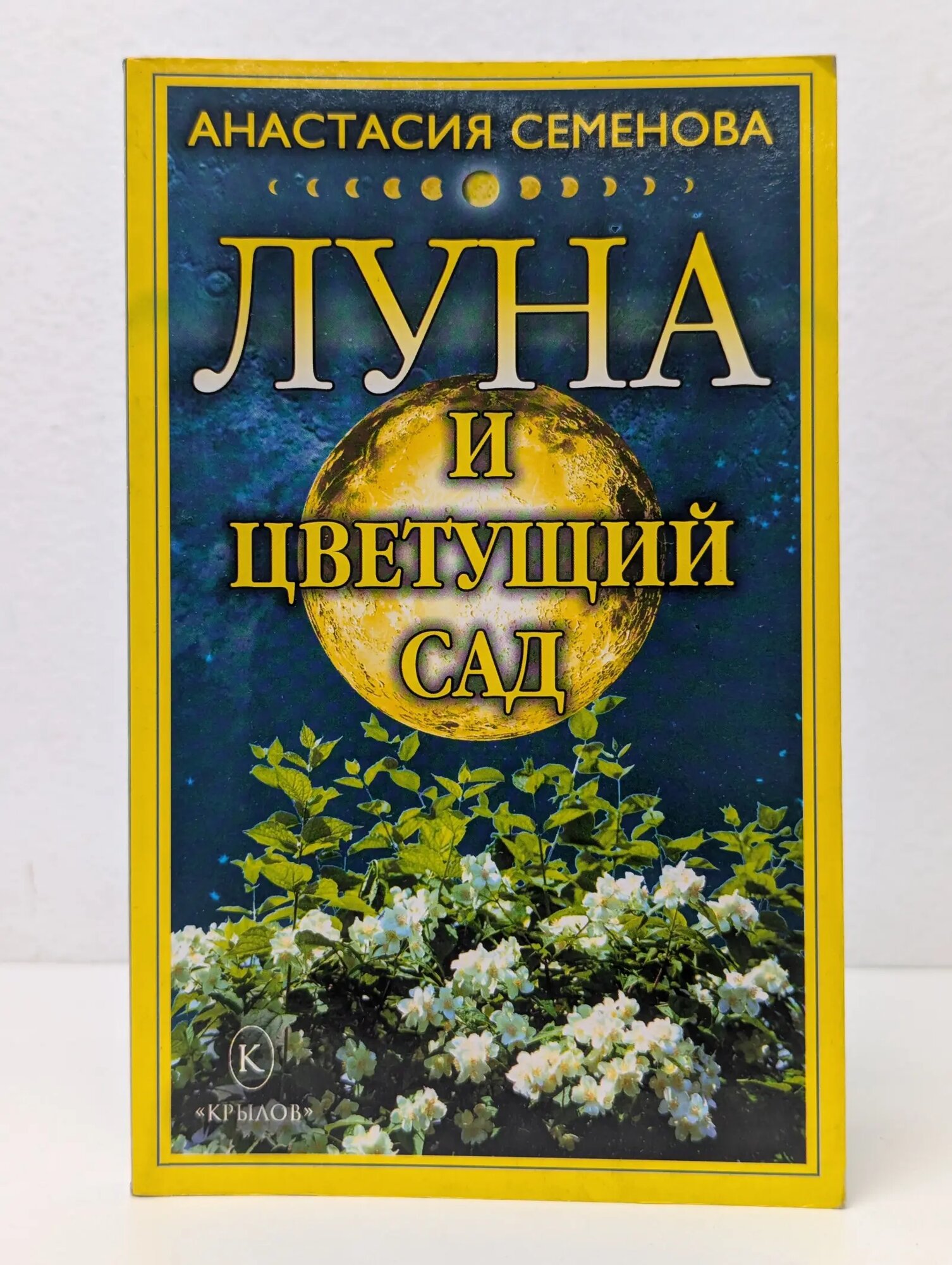 Луна и цветущий сад Семенова Анастасия Николаевна 2008