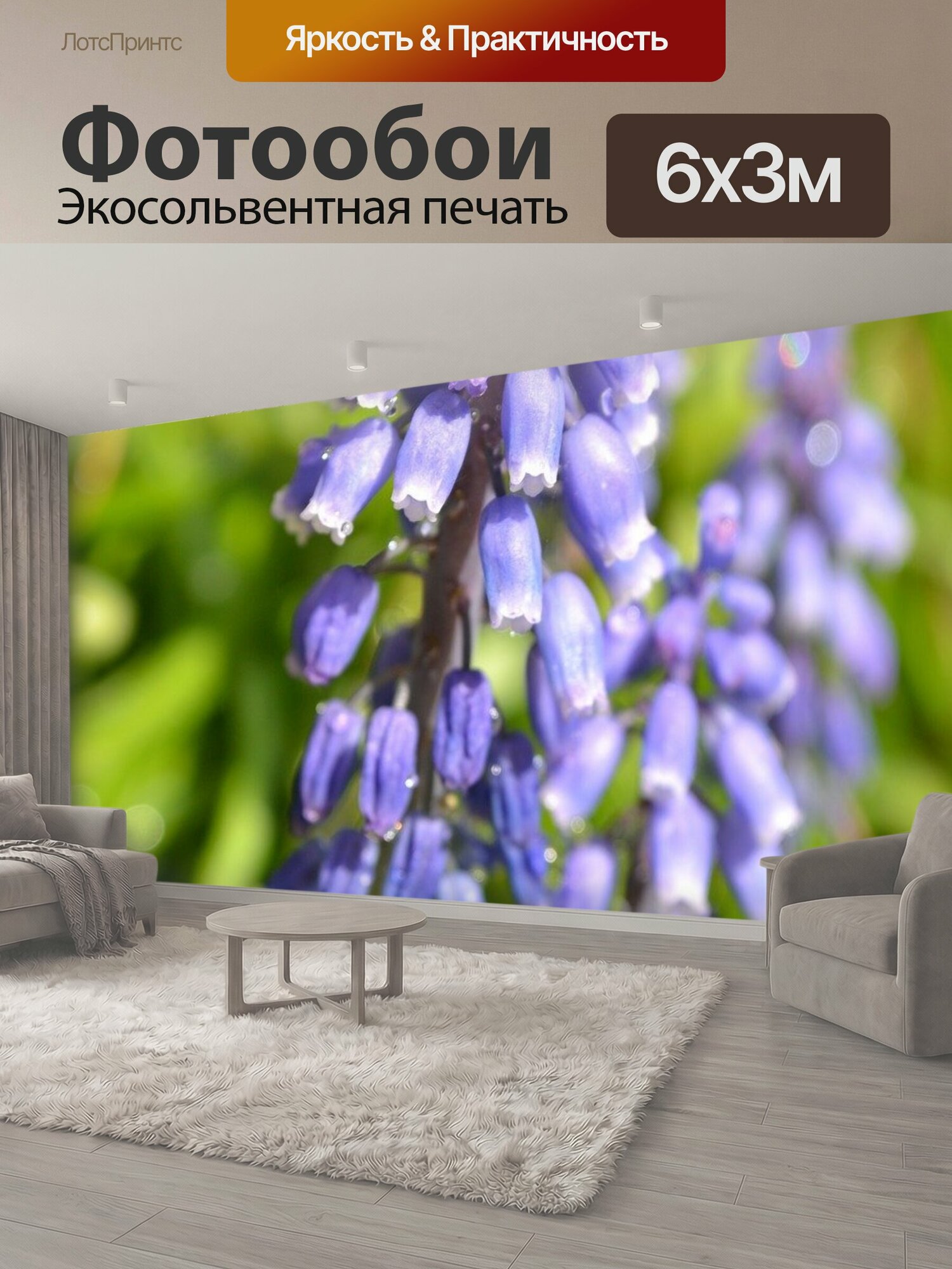Фотообои "Гиацинт, цветок, фиолетовый" 600x300 см. экосольвентная печать