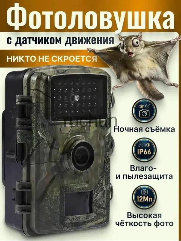 Фотоловушка