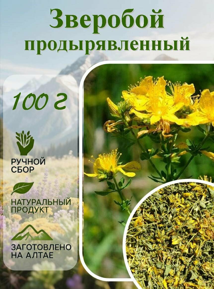 Зверобой продырявленный, трава с цветом, 100 грамм, АлтайМир