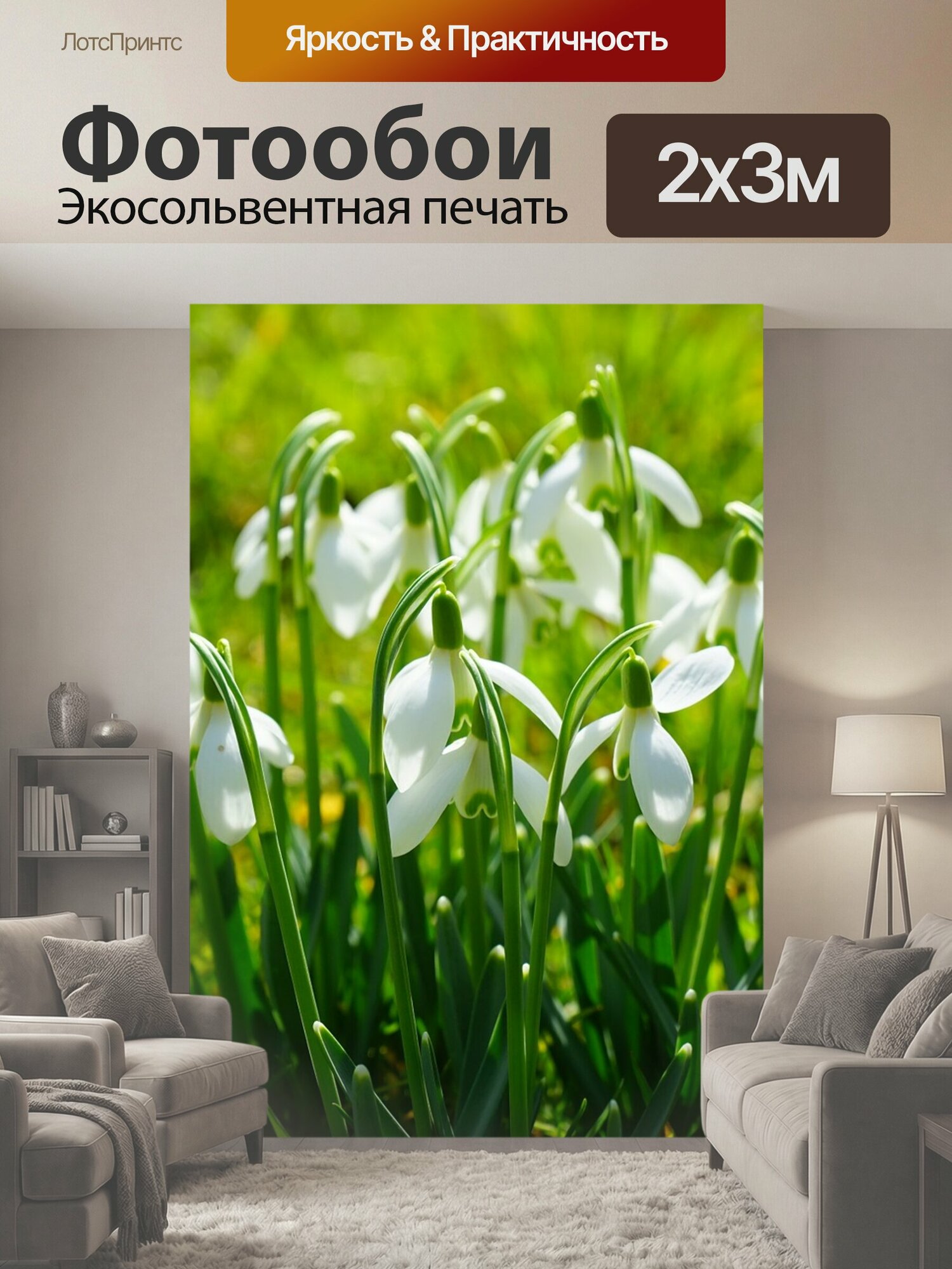 Фотообои "Подснежник, цвести, весенний цветок" 200x300 см. экосольвентная печать
