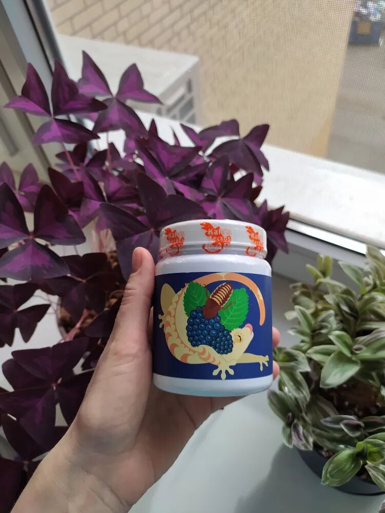 Kates Geckos Lab Mulberry and Blaptica Dubia gecko diet, Полнорационная кормовая смесь для рептилий со вкусом шелковицы и аргентинскими тараканами Blaptica Dubia, 100г