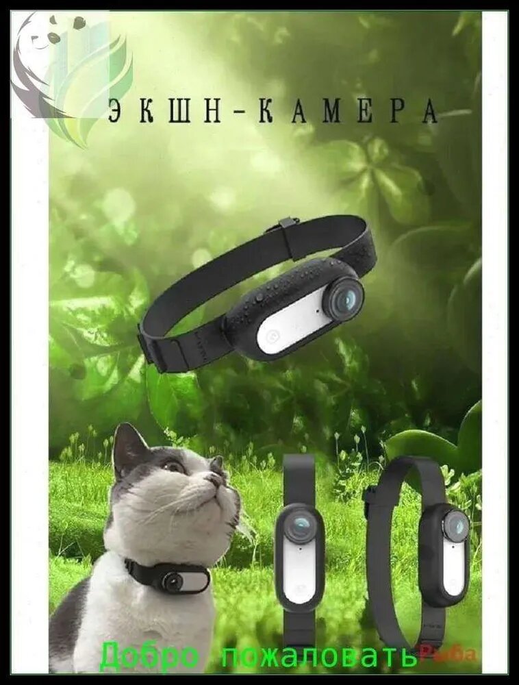 Экшн-камера для животных