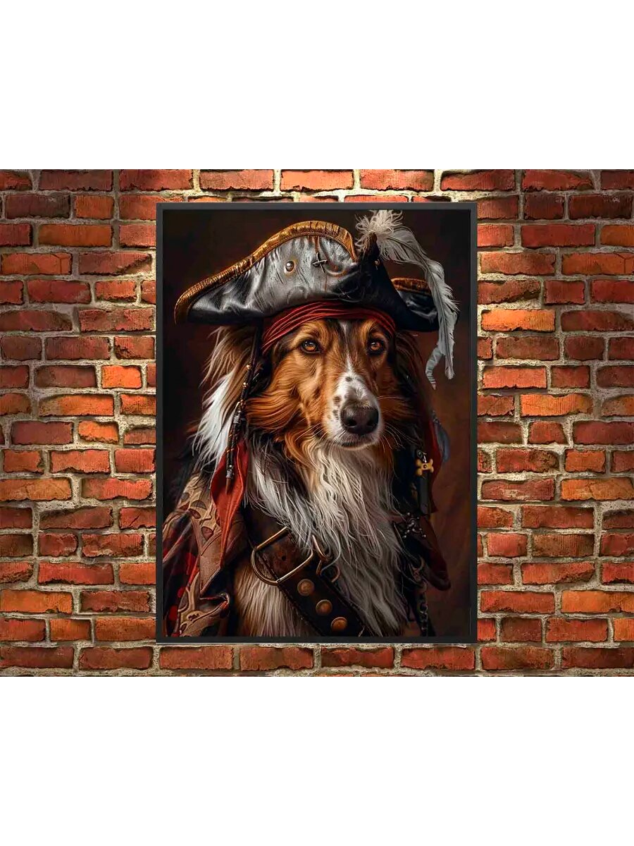 Шотландский колли Пират 3, Плакат 30x42см