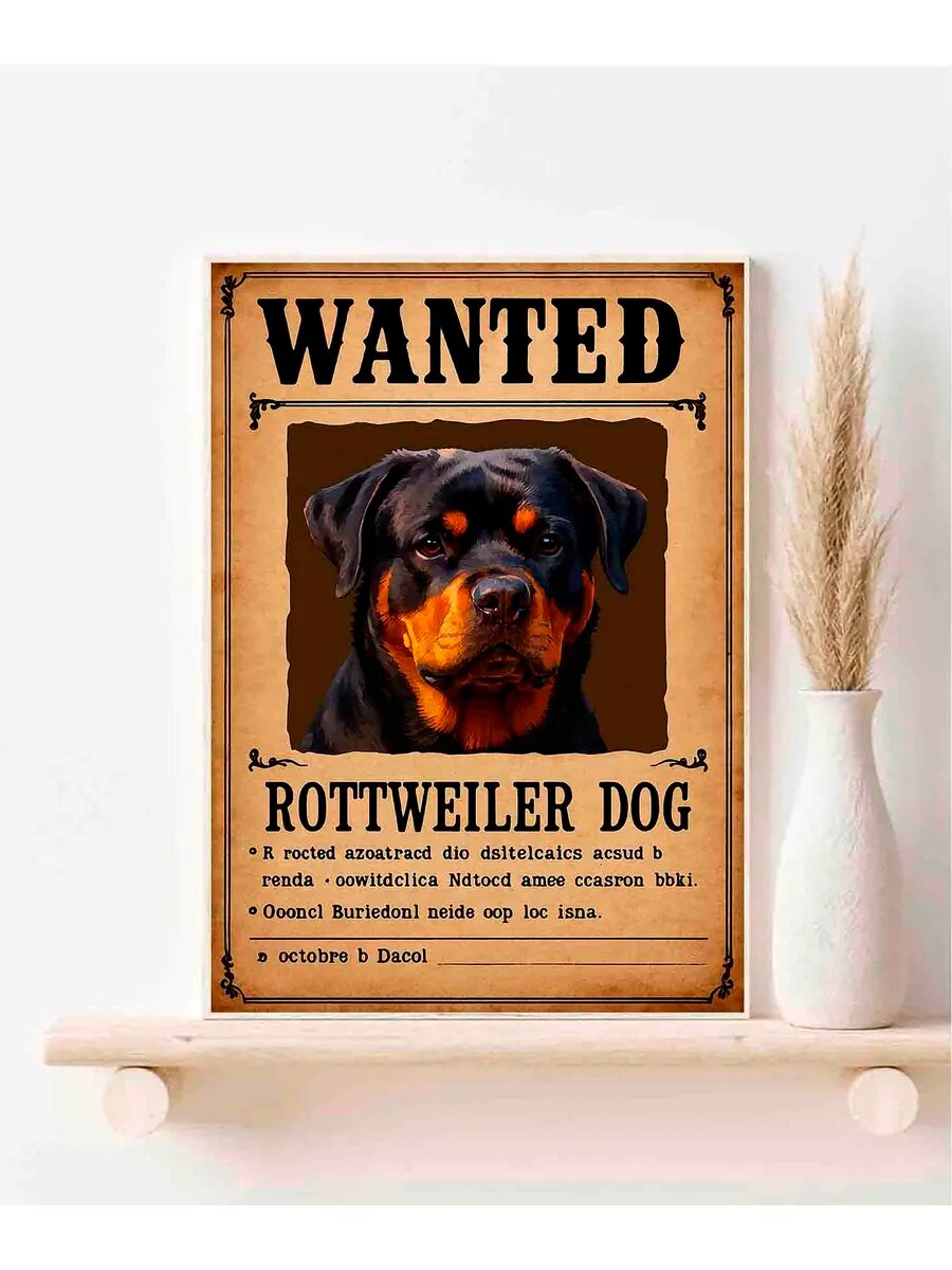 Собака-ротвейлер, Wanted, Плакат 30x42см