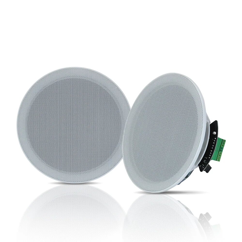 SKVA Потолочный динамик Bluetooth 6,5 дюймов AU, 1pc BT speaker