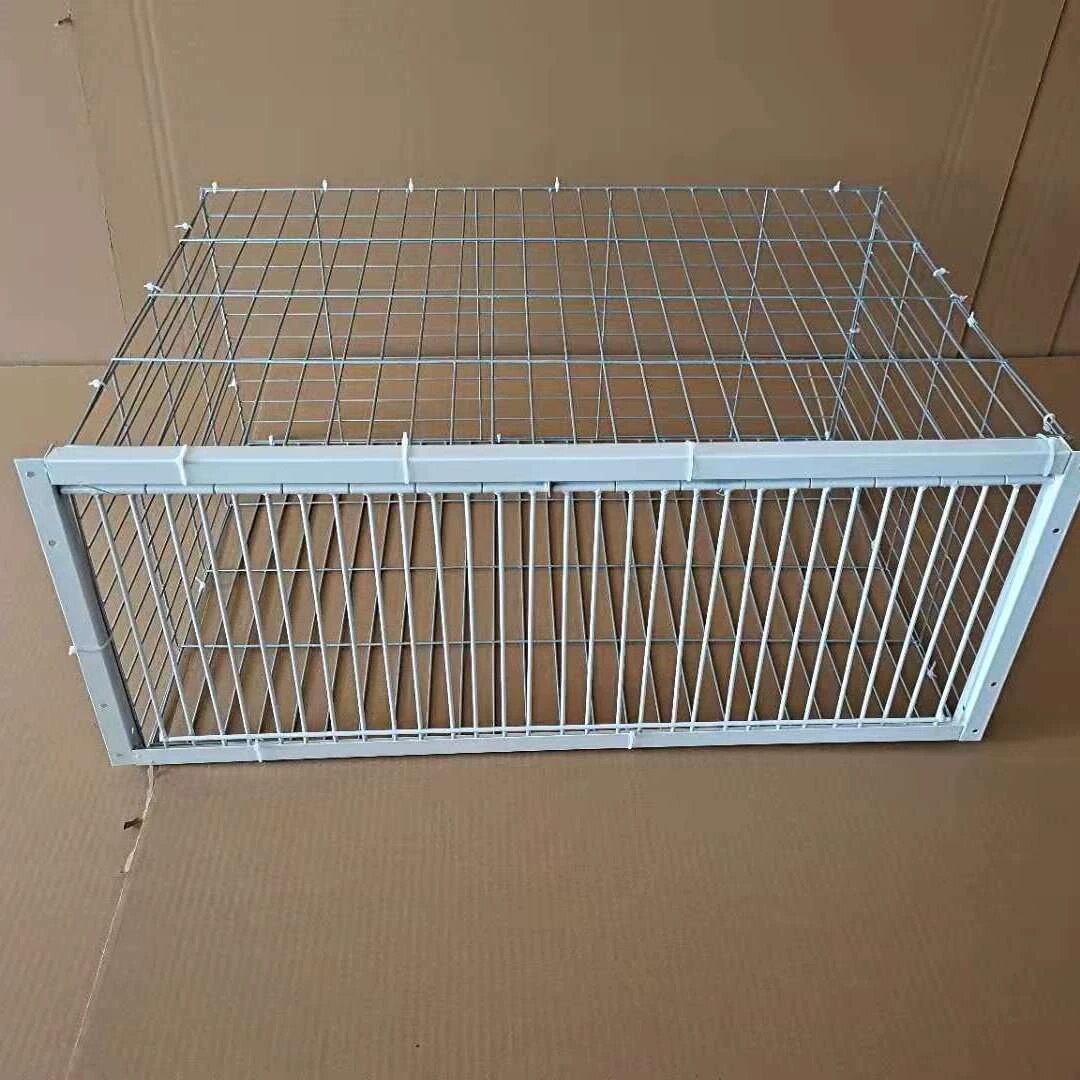 Клетка для голубей 60x40 см, цинковое покрытие, с окном, 1 импортная сторона, в комплекте ремешок и корм