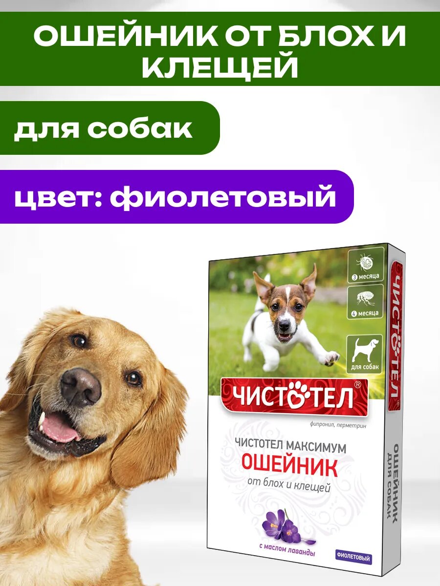 Максимум Ошейник от Блох и Клещей 65 см для Собак Фиолетовый