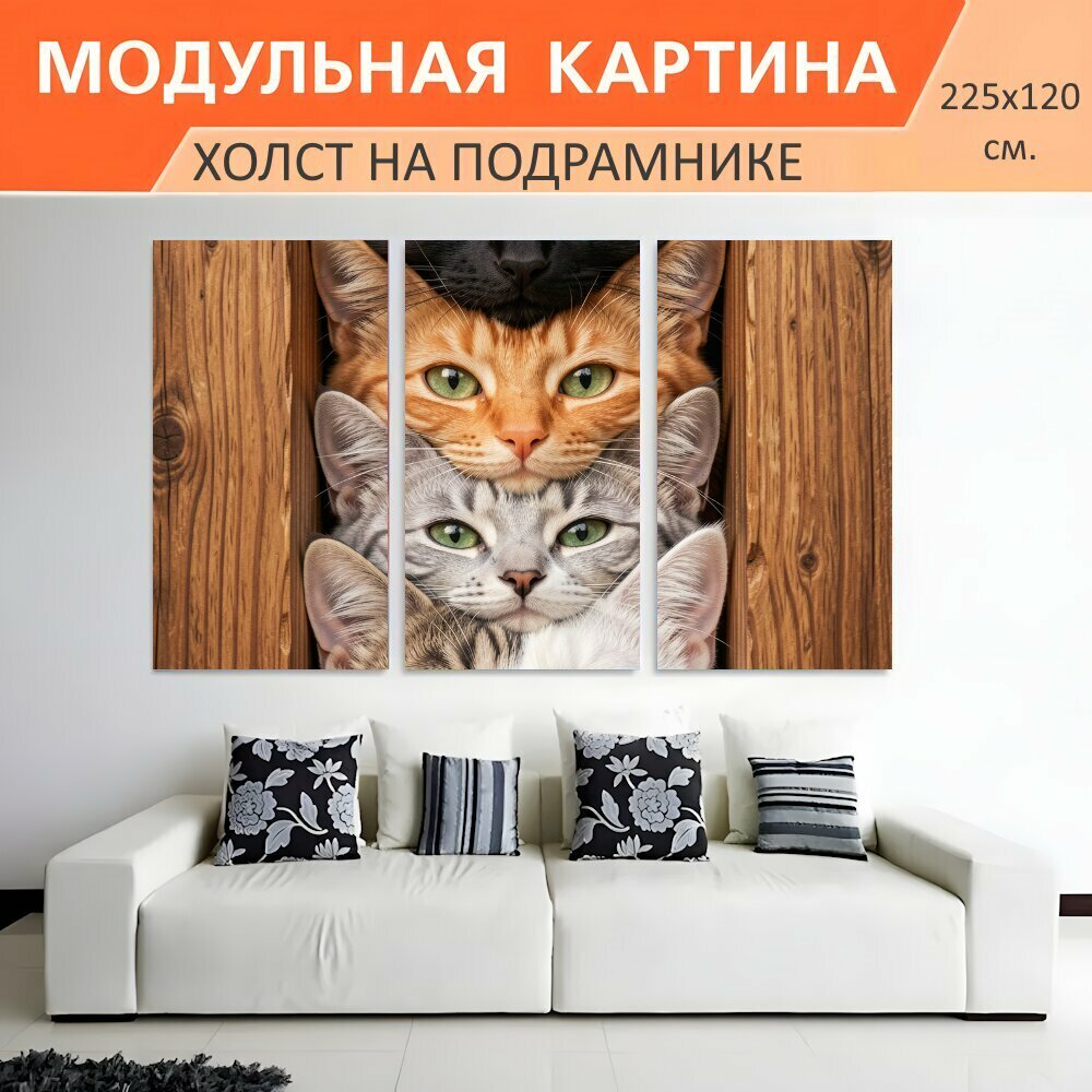 Модульная картина на холсте "Четыре кота в деревянных рамках. Вертикальная композиция с четырьмя кошачьими мордочками, выглядывающими." триптих на подрамнике 225х120 см. для интерьера