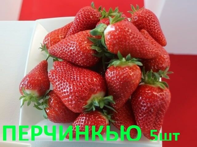 Рассада. Клубника Перченкью.