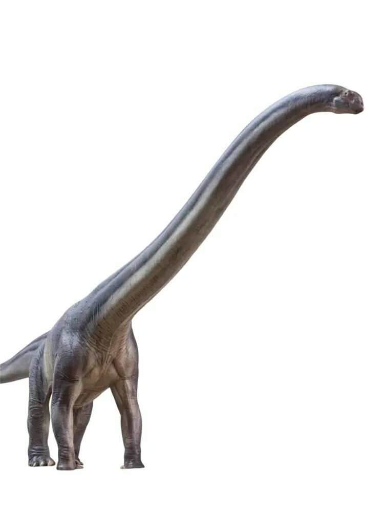 Фигурки "Динозавры" PNSO Launch of the Mamenchisaurus Модели доисторических динозавров