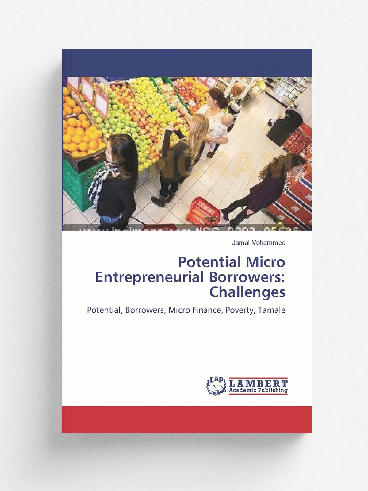 Potential Micro Entrepreneurial Borrowers. Challenges