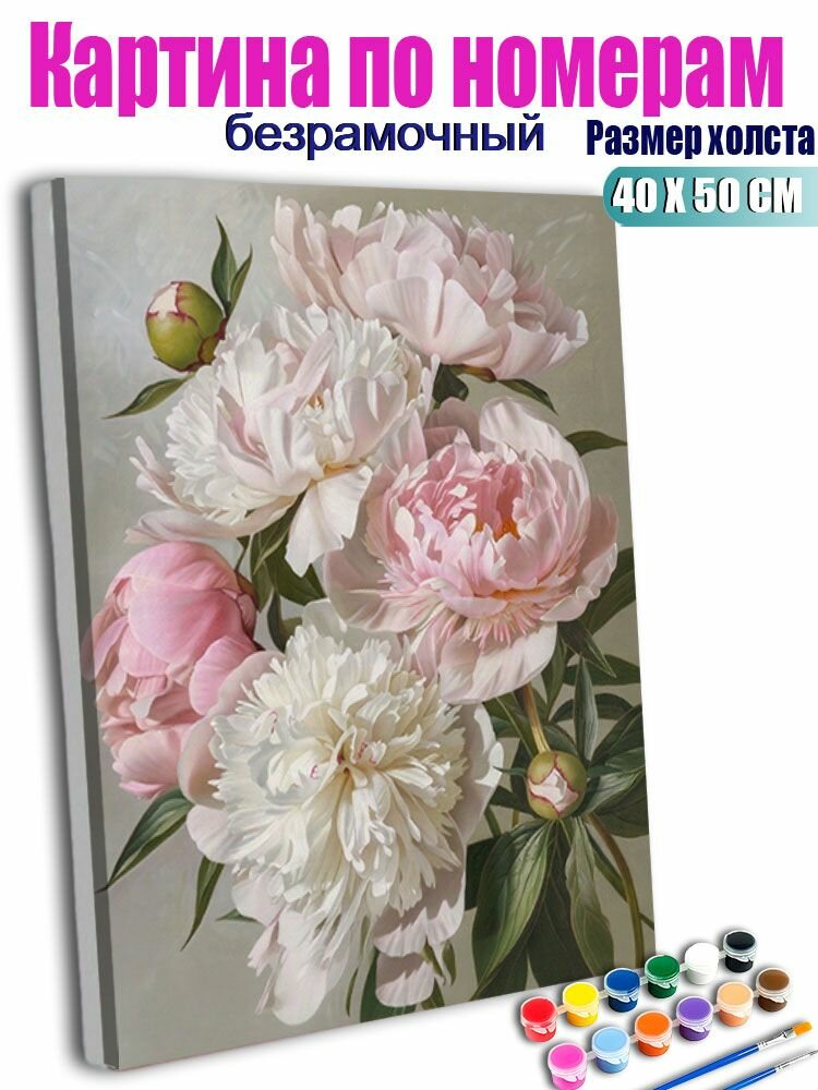 Картина по номерам, Сочетание розовых и белых пионов и цветочных бутонов, ручная роспись антистресс, 40х50 см без подрамника, современный декор для дома пионы антистресс